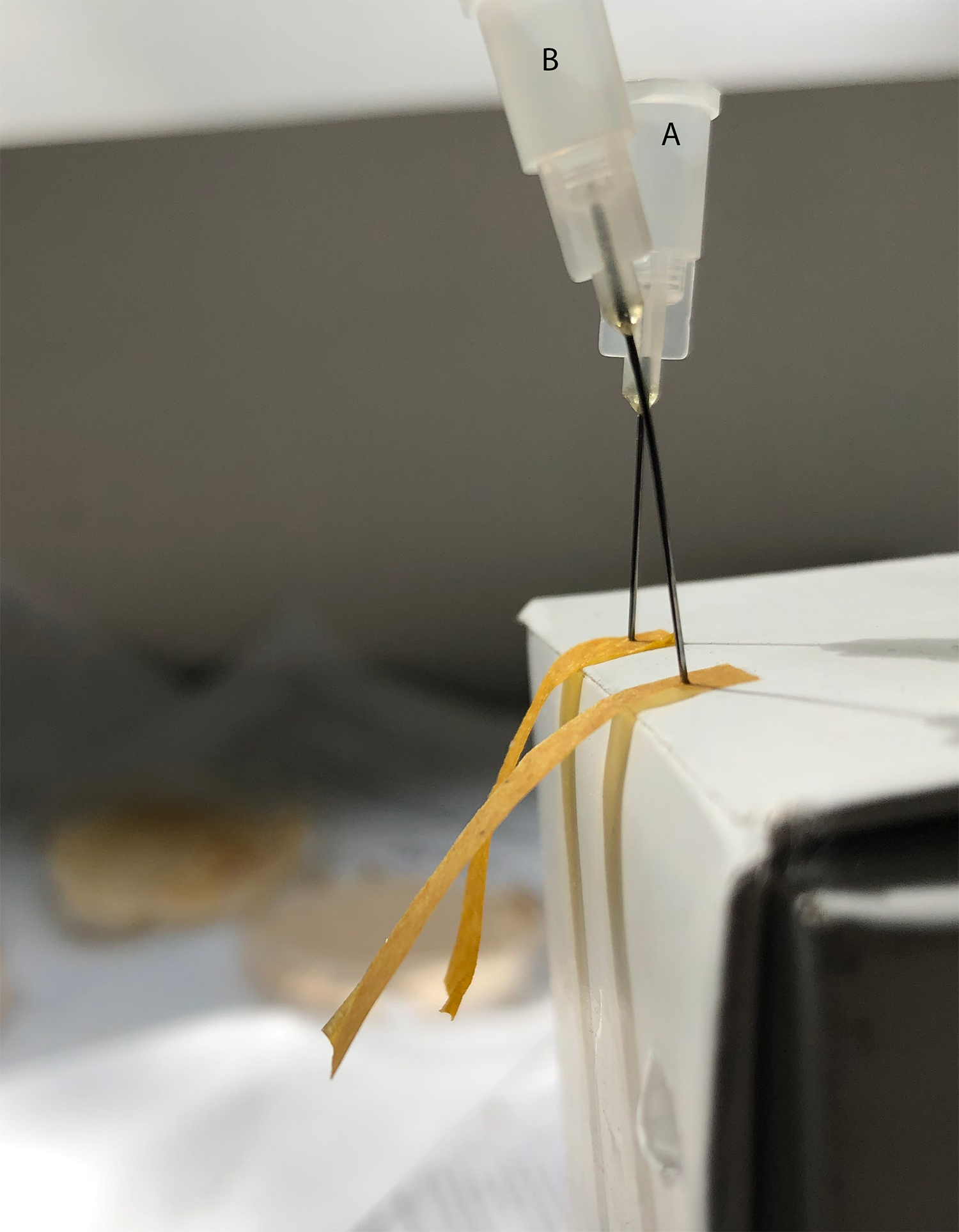 Biocomposites for substituting plastic | Trace