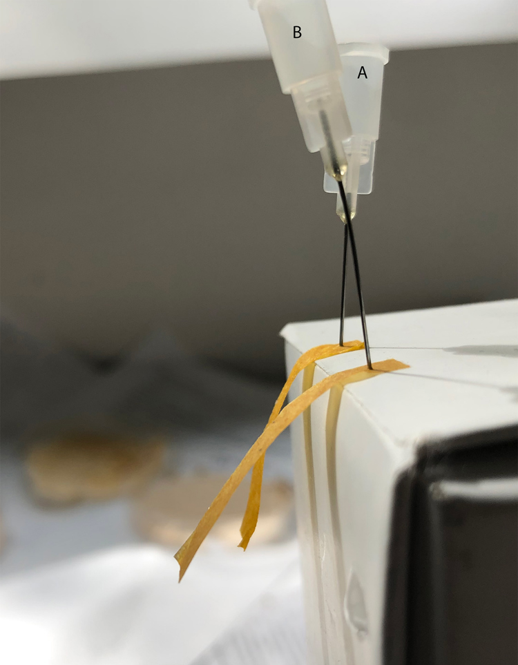 Biocomposites for substituting plastic | Trace